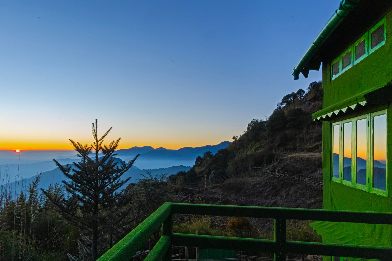 Where to See Red Pandas in Nepal: Tracking A Himalayan Icon - Explorers ...