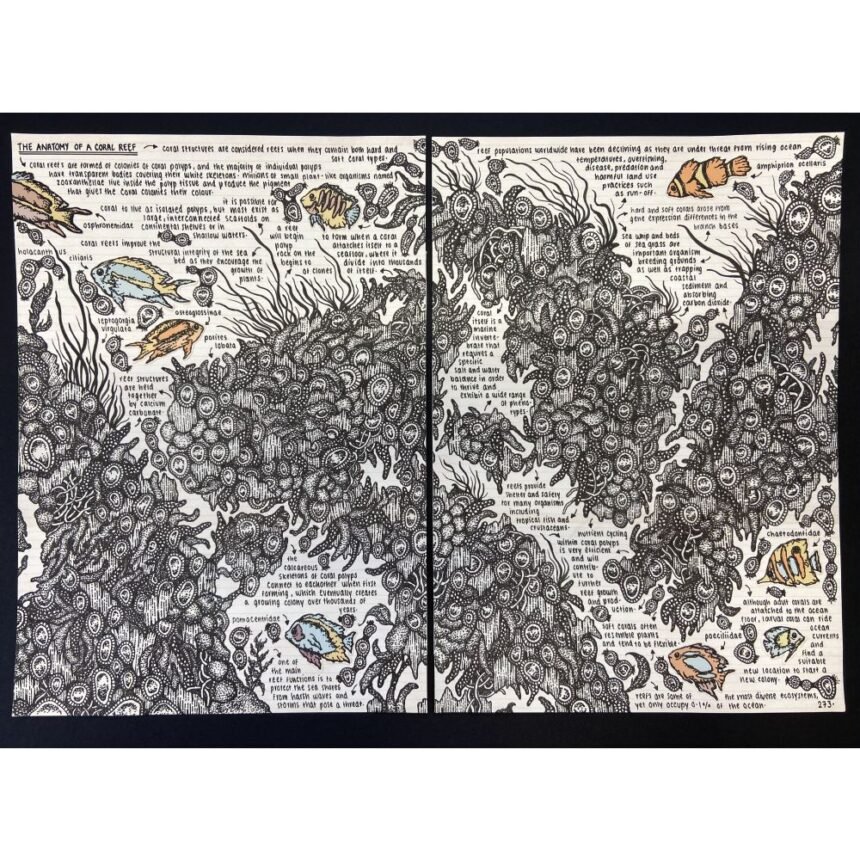 Sketch for Survival 2023 Longlist – Explorers Against Extinction